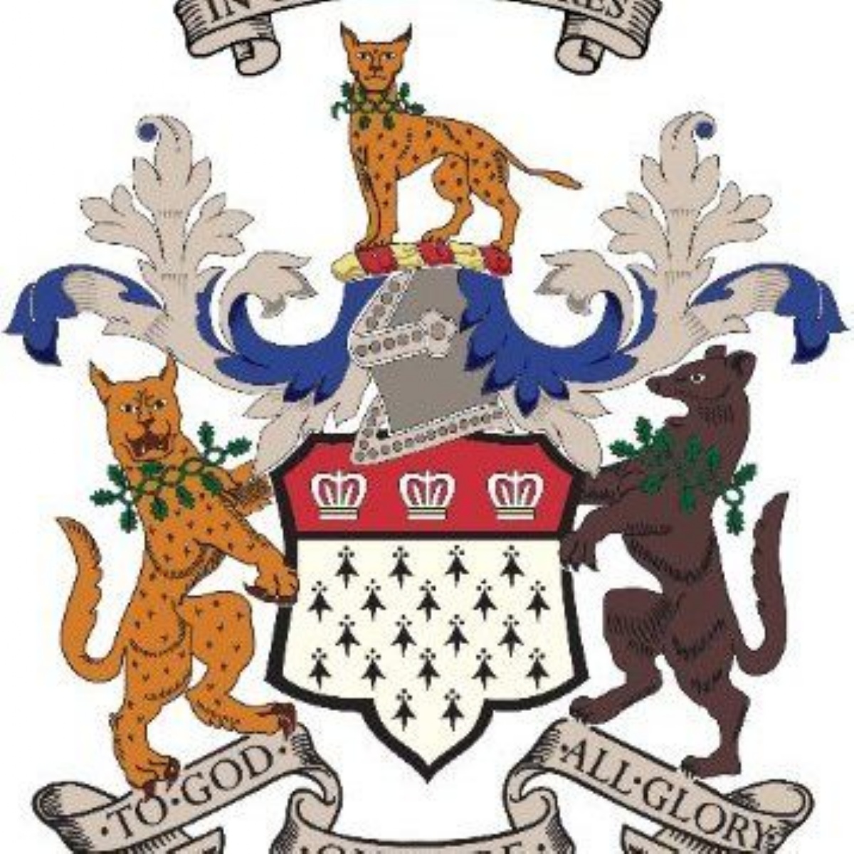 The Judd School - Family of Schools Newsletter