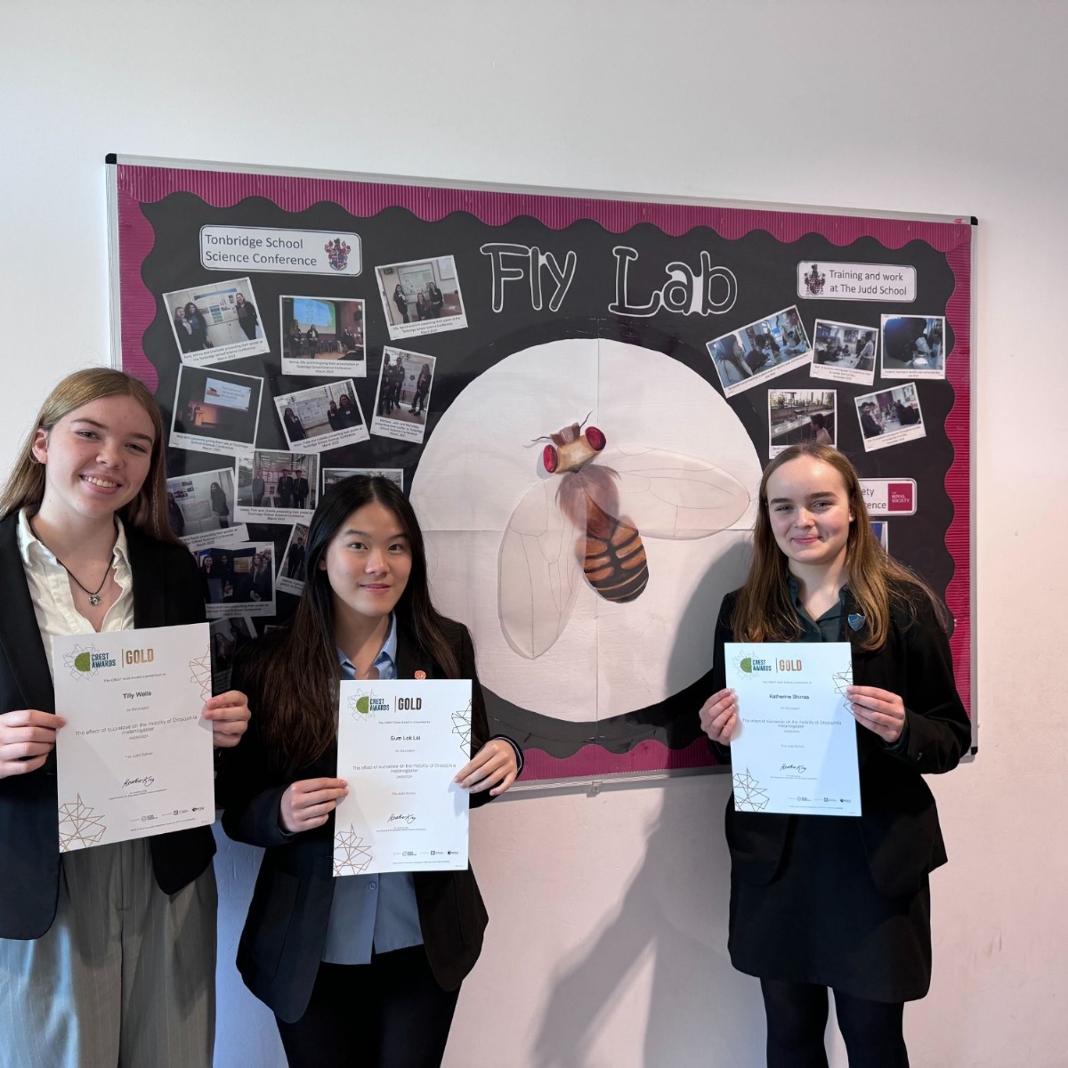 The Judd School - Gold CREST Award Success!